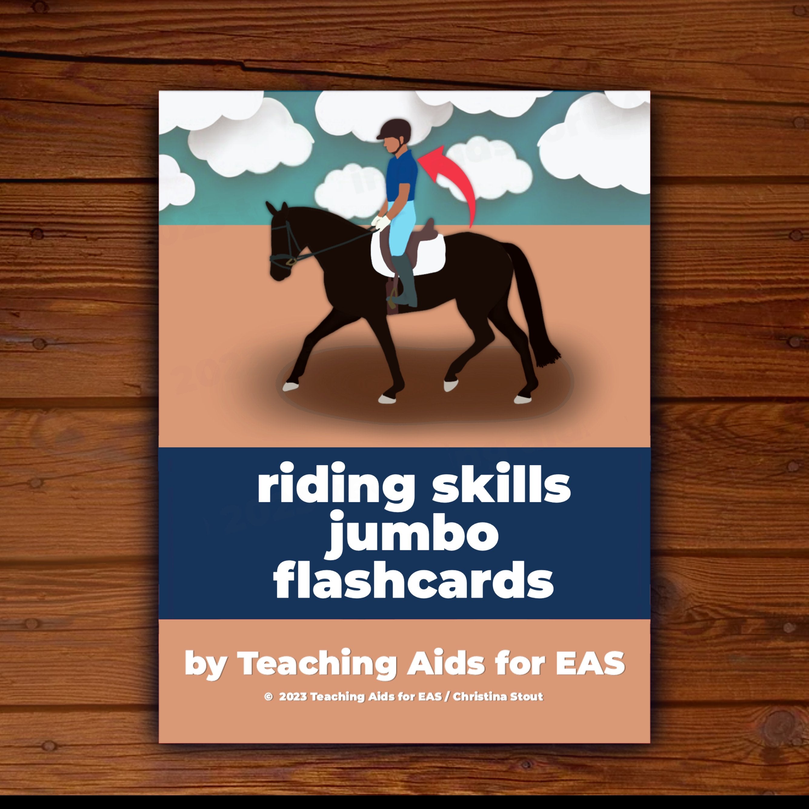 Teaching Aids for EAS: Visual Aids for Adaptive Riding Instructors