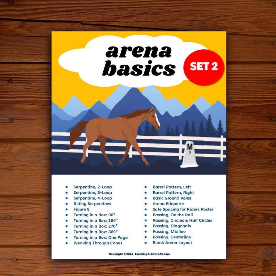 Teaching Aids for EAS: Visual Aids for Adaptive Riding Instructors