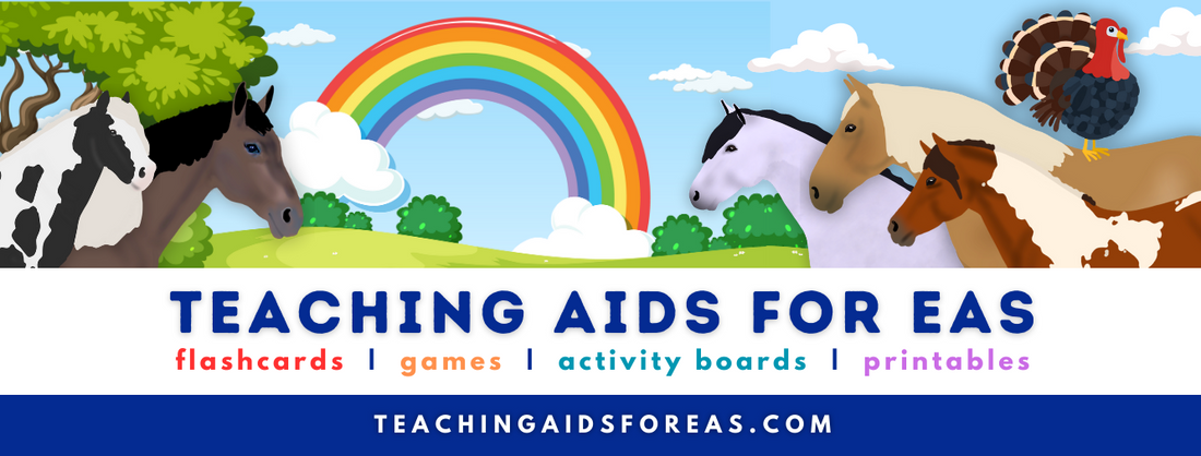 Teaching Aids for EAS: Visual Aids for Adaptive Riding Instructors