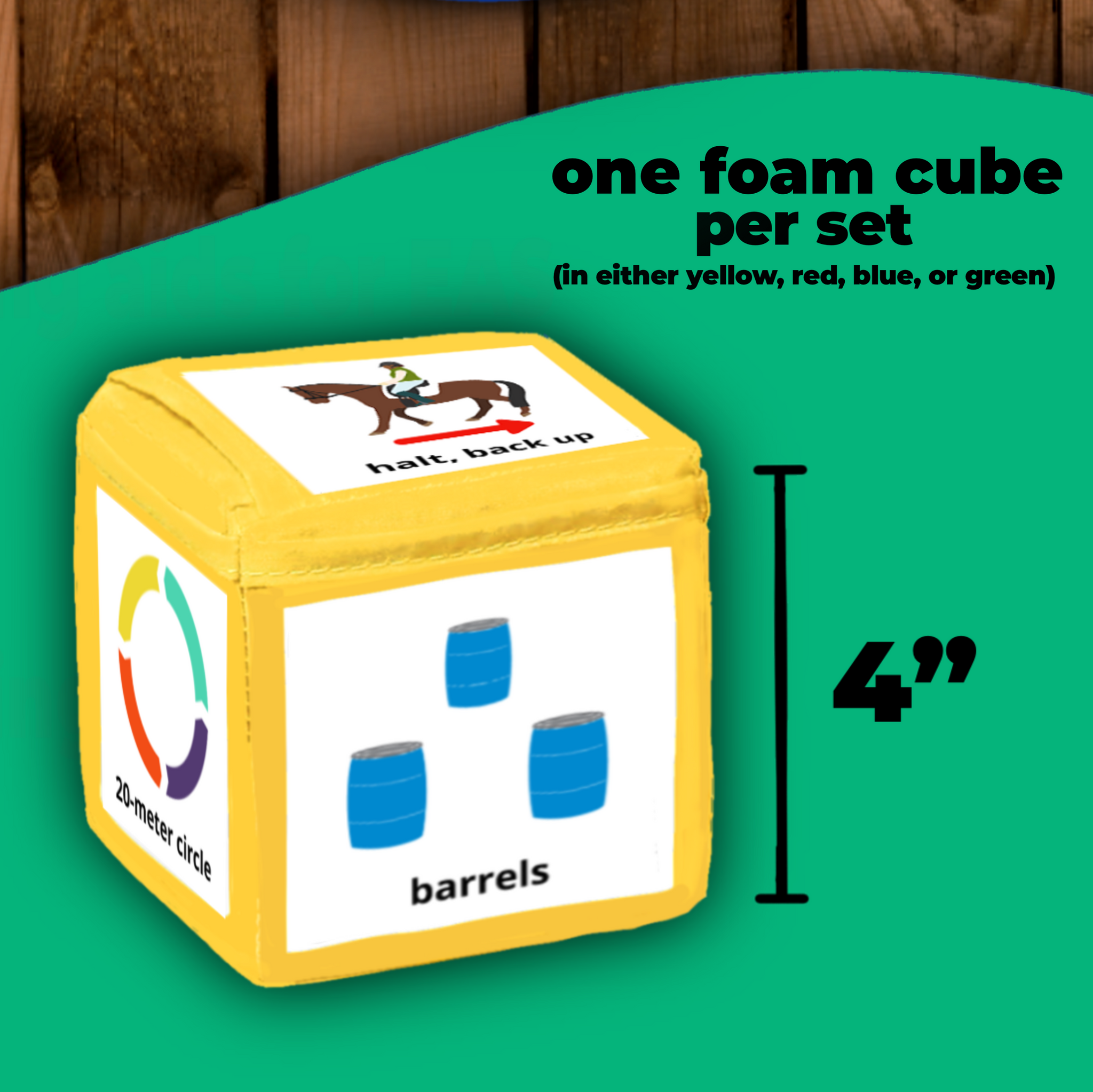 fillable activity cube set for adaptive riding lessons - 5 sets ...