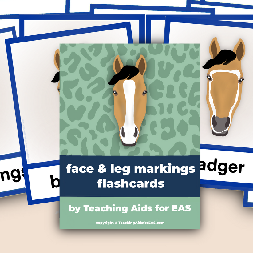 Horse Face & Leg Markings Flashcards – Teaching Aids for EAS