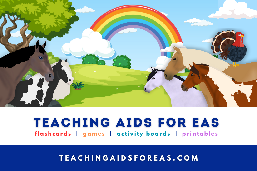 Teaching Aids for EAS: Visual Aids for Adaptive Riding Instructors