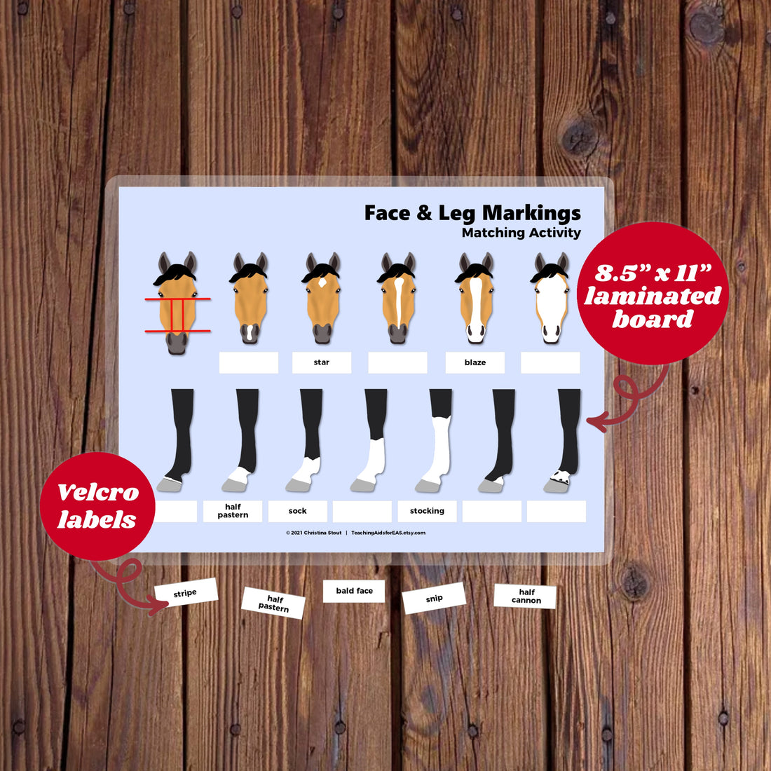 velcro board, face & leg markings – Teaching Aids for EAS