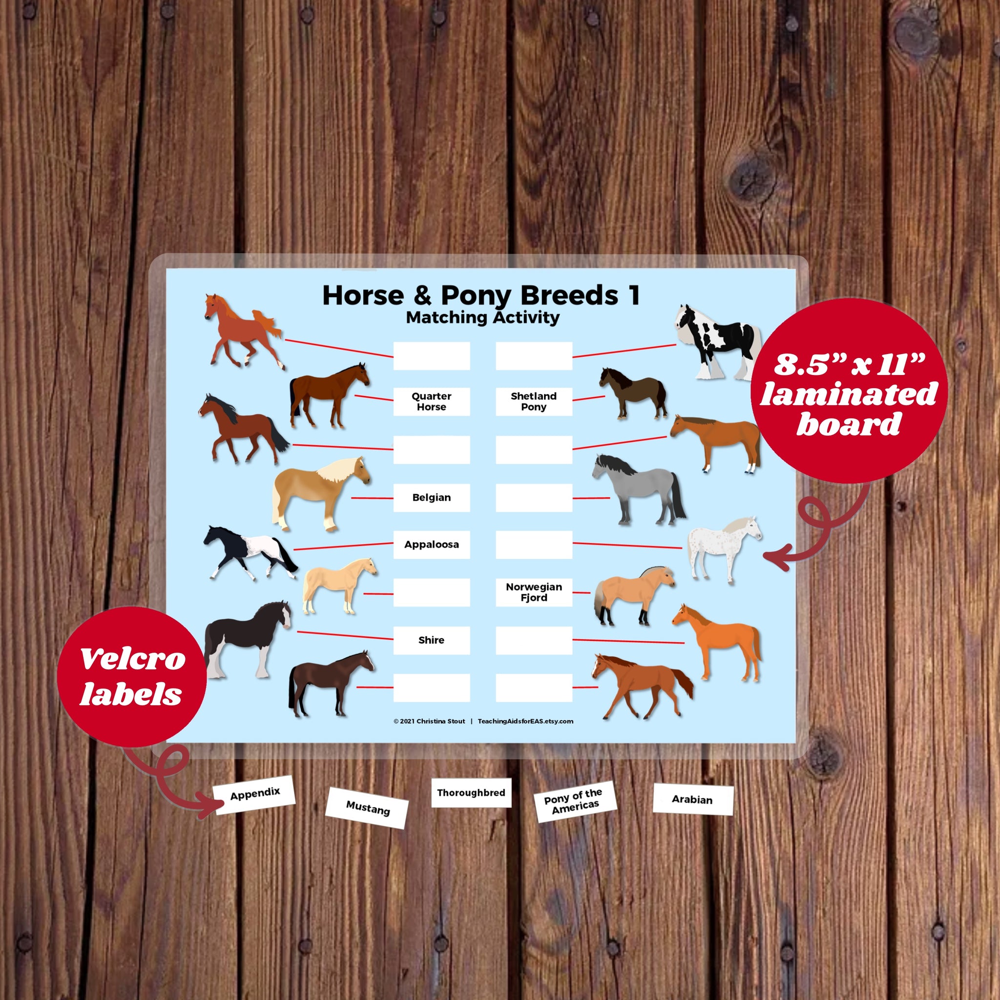 velcro board, horse breeds 1 – Teaching Aids for EAS