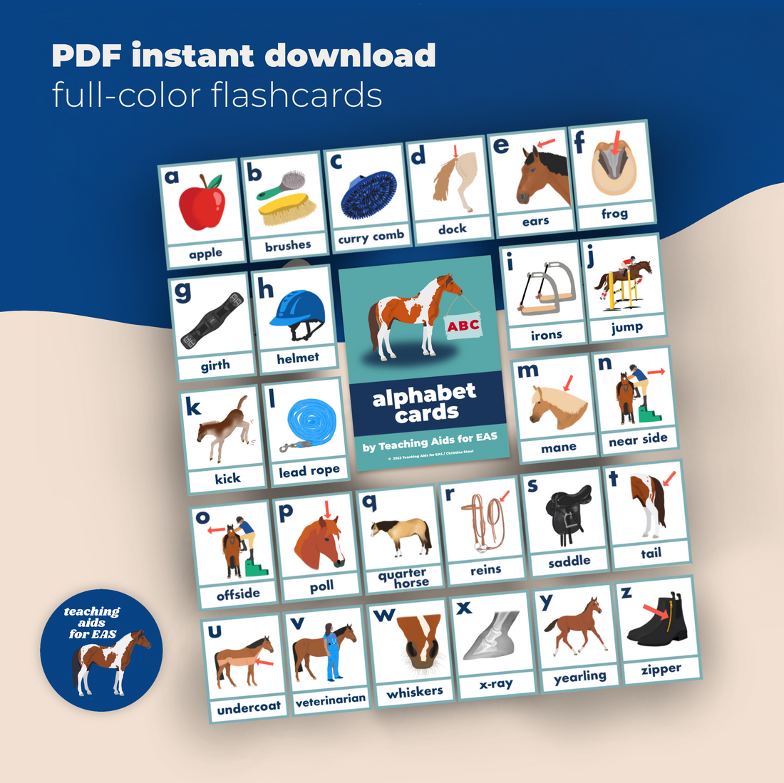 Alphabet Flashcards for Therapeutic/Adaptive Riding – Teaching Aids for EAS