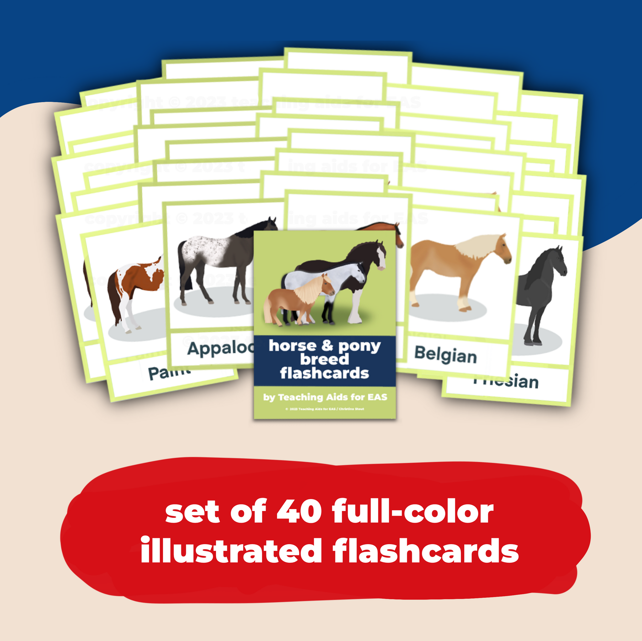 Horse & Pony Breed Flashcards - Therapeutic/Adaptive Riding – Teaching ...