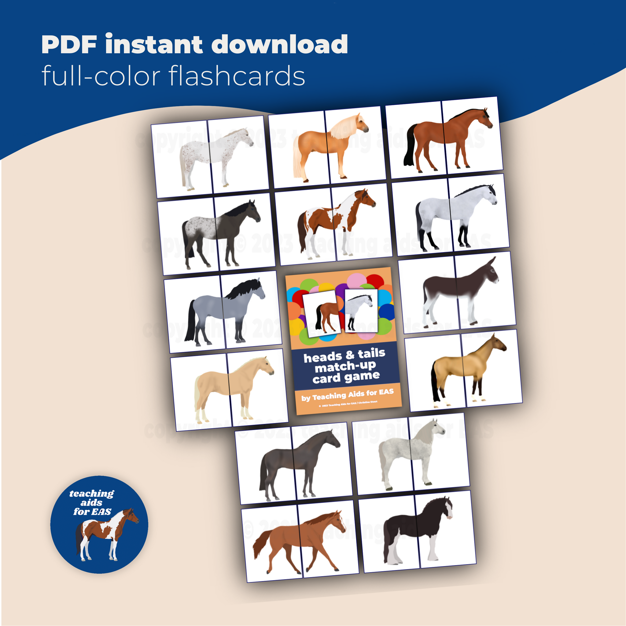 Heads & Tails Matching Game for Therapeutic/Adaptive Riding – Teaching ...