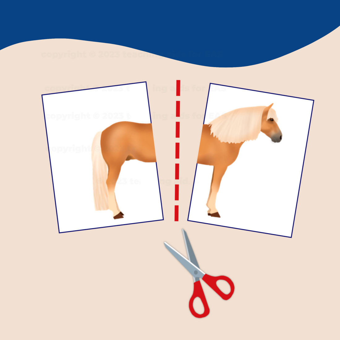 Heads & Tails Matching Game for Therapeutic/Adaptive Riding – Teaching ...