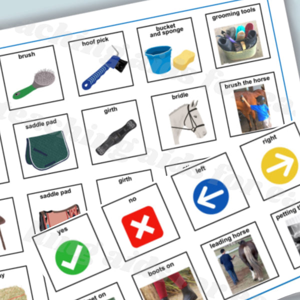 PECS Cards for Therapeutic/Adaptive Riding – Teaching Aids for EAS