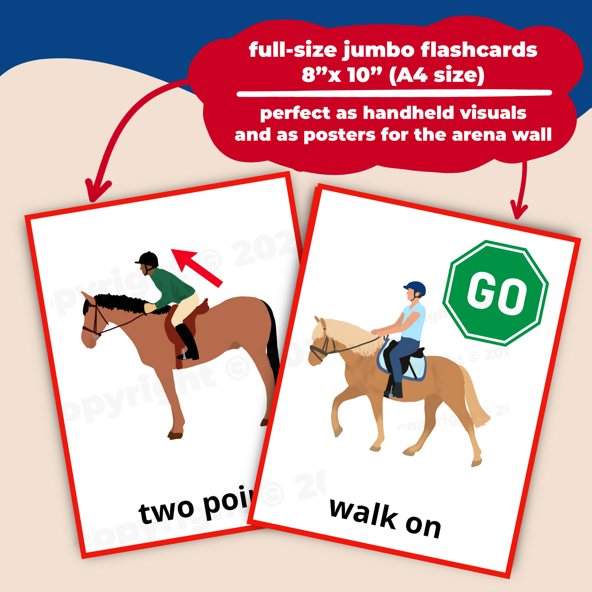 horseback riding skills flashcards - Therapeutic/Adaptive Riding ...