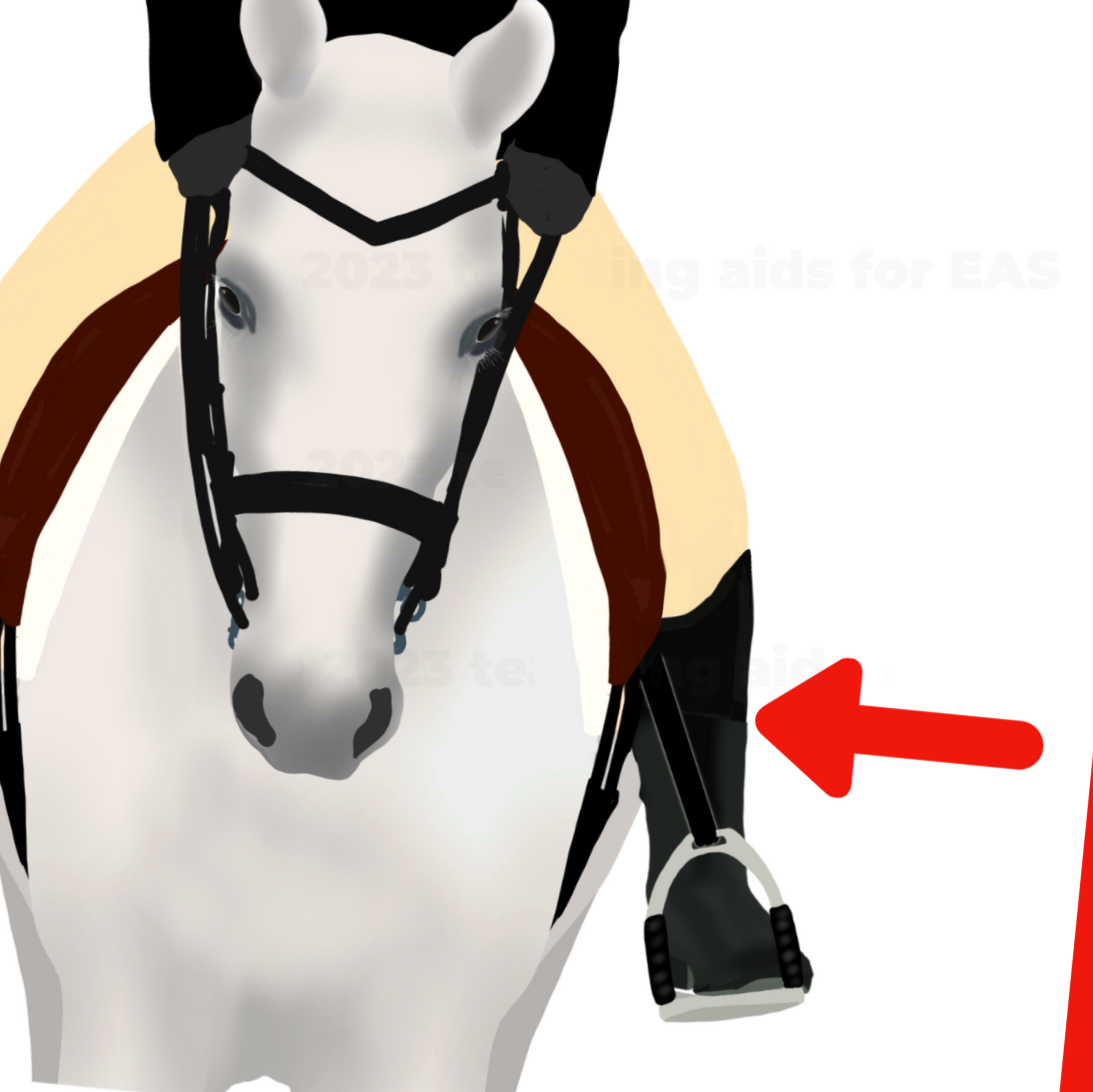 horseback riding skills flashcards - Therapeutic/Adaptive Riding ...