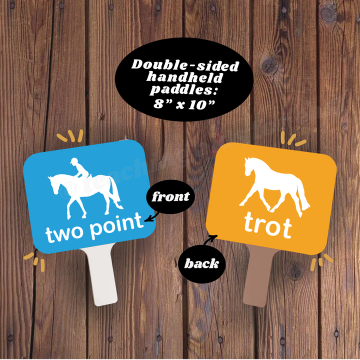 Teaching Aids for EAS: Visual Aids for Adaptive Riding Instructors