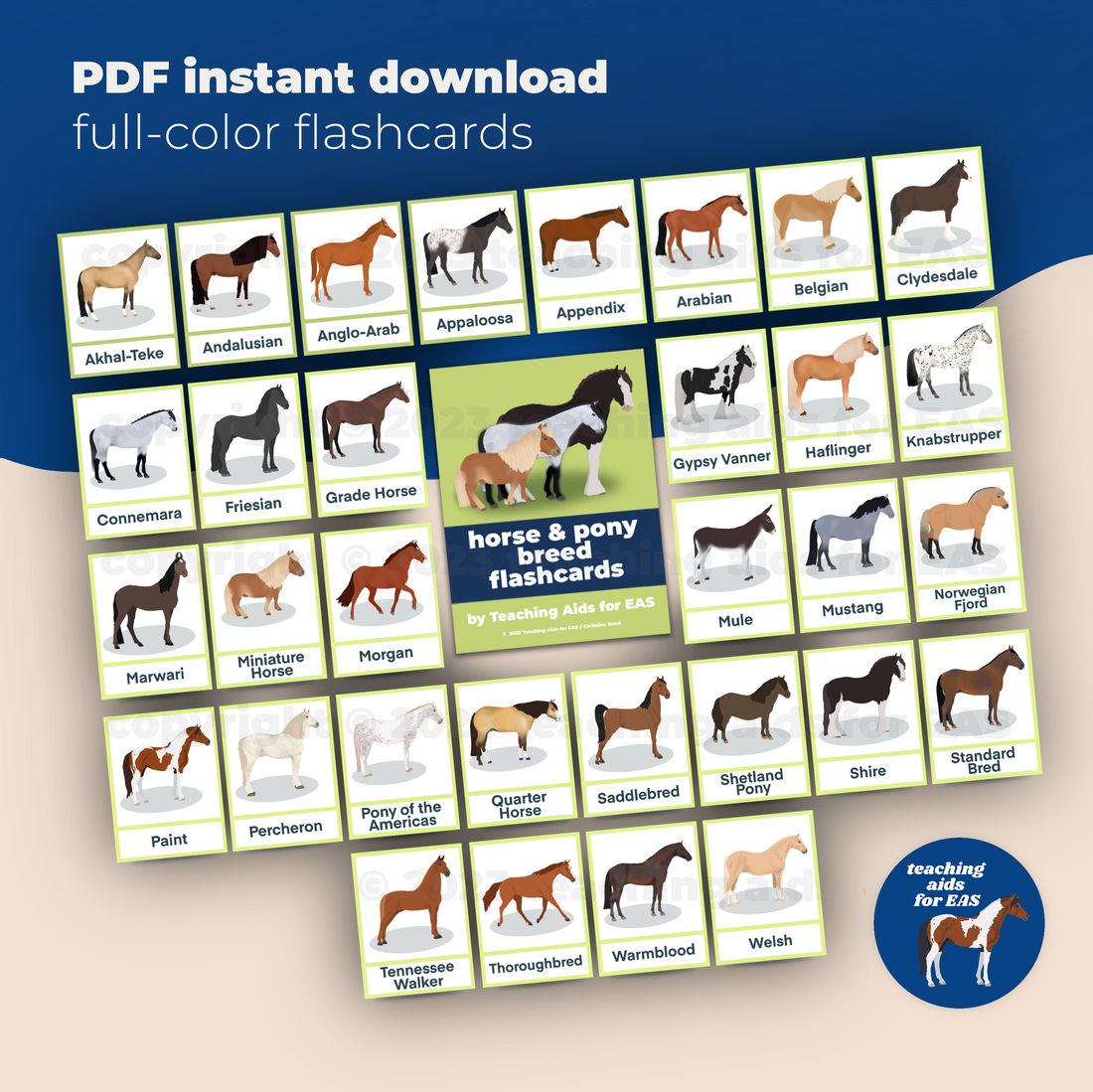 Horse & Pony Breed Flashcards - Therapeutic/Adaptive Riding – Teaching ...